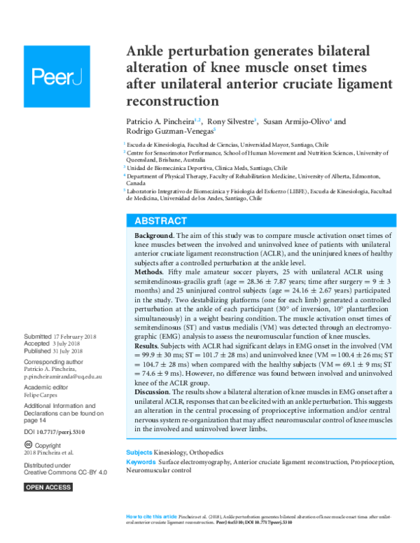(PDF) Ankle perturbation generates bilateral alteration of knee muscle ...