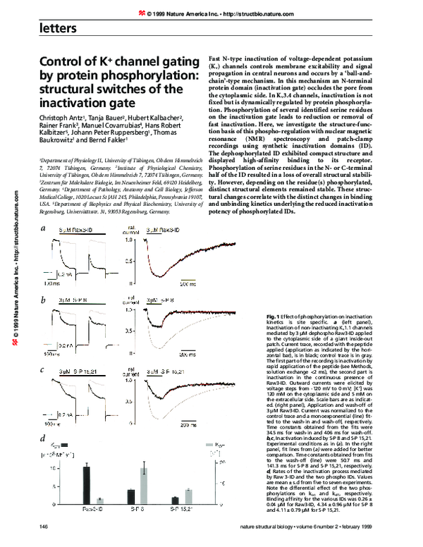 (PDF) Control of K+ channel gating by protein phosphorylation ...