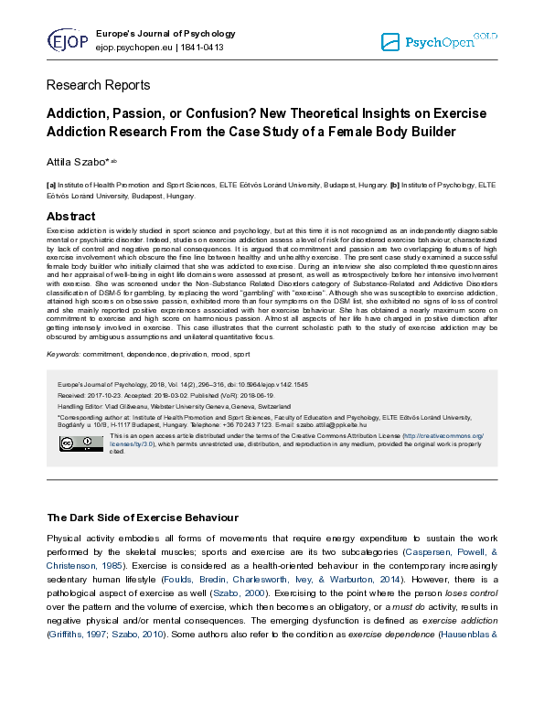 (PDF) Addiction, Passion, or Confusion? New Theoretical Insights on ...