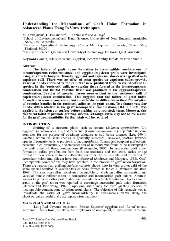 (PDF) Understanding the Mechanisms of Graft Union Formation in ...