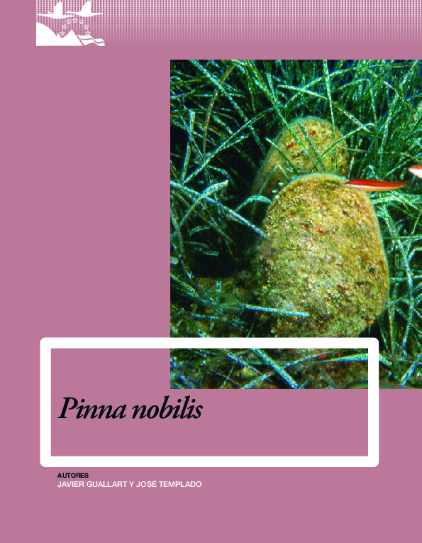 (PDF) Pinna nobilis