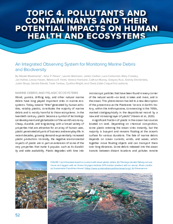 (PDF) Topic 4. Pollutants and Contaminants and Their Potential Impacts ...
