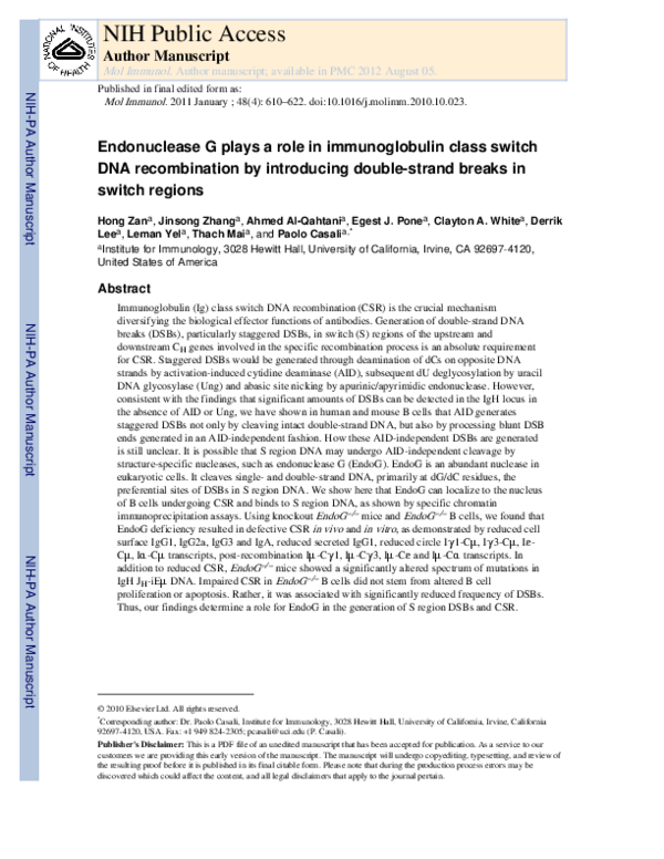(PDF) Endonuclease G plays a role in immunoglobulin class switch DNA ...