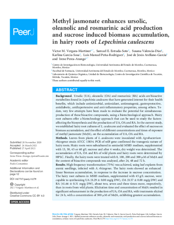 (PDF) Methyl jasmonate enhances ursolic, oleanolic and rosmarinic acid production and sucrose ...