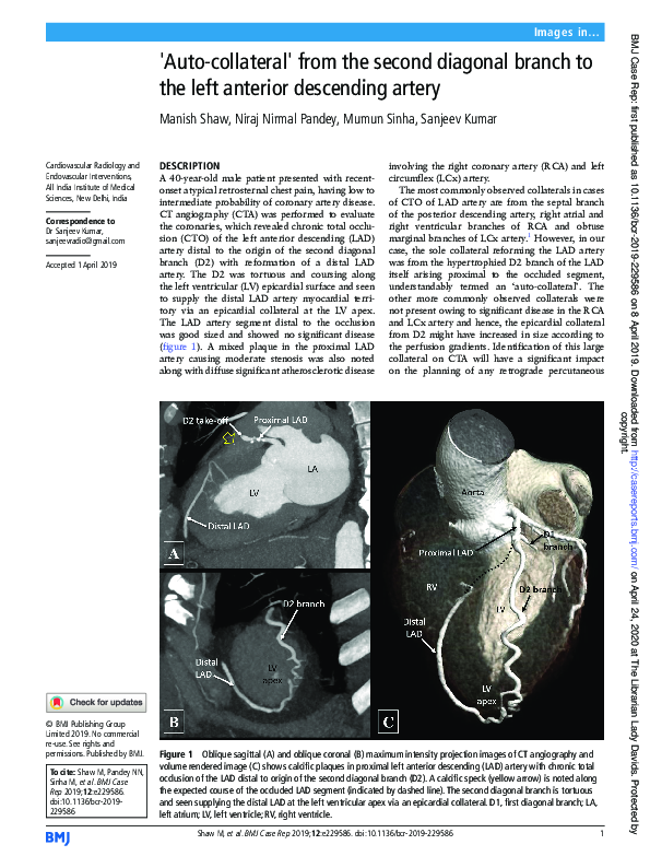 (PDF) ’Auto-collateral' from the second diagonal branch to the left ...