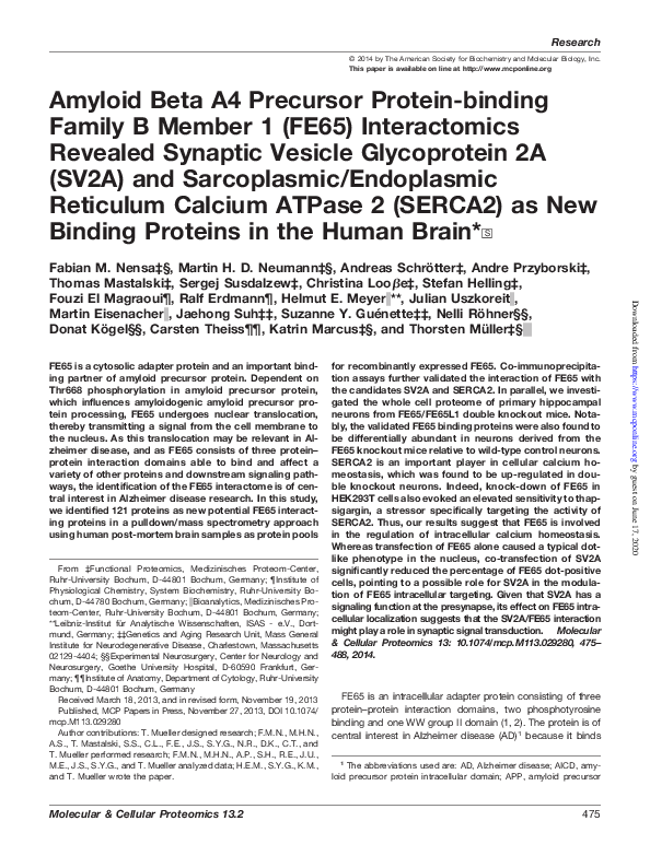 (PDF) Amyloid Beta A4 Precursor Protein-binding Family B Member 1 (FE65 ...