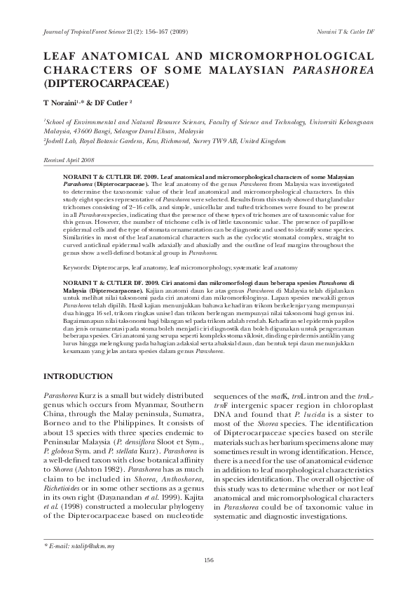 (PDF) Leaf Anatomical and Micromorphological Characters of Some Malaysian Parashorea ...