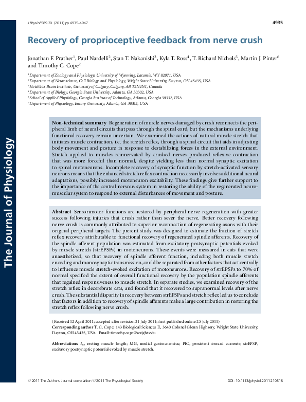 (PDF) Recovery of proprioceptive feedback from nerve crush