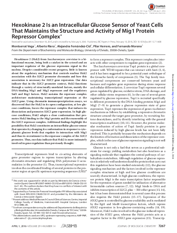(PDF) Hexokinase 2 Is an Intracellular Glucose Sensor of Yeast Cells That Maintains the ...