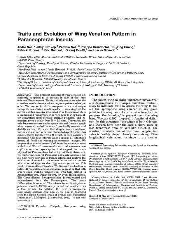 (PDF) Traits and evolution of wing venation pattern in paraneopteran ...