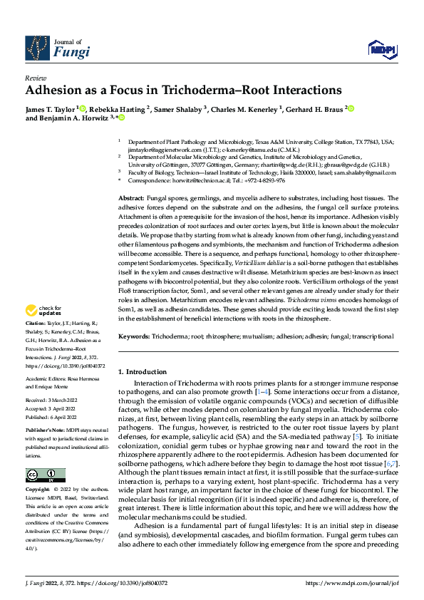 (PDF) Adhesion as a Focus in Trichoderma–Root Interactions | Gerhard Braus - Academia.edu