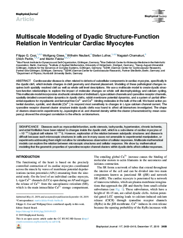 (PDF) Multiscale Modeling of Dyadic Structure-Function Relation in ...