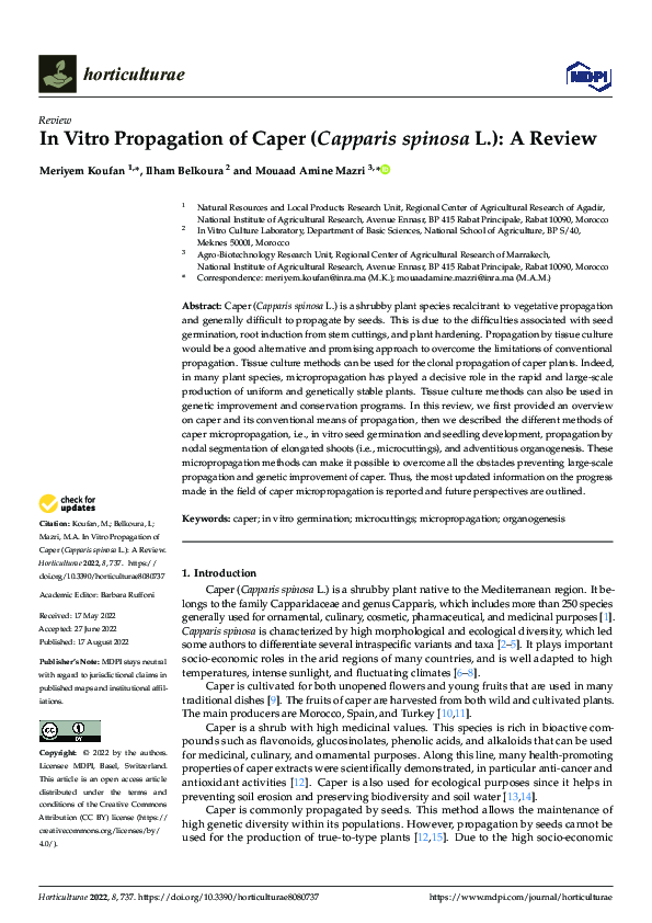 (PDF) In Vitro Propagation of Caper (Capparis spinosa L.): A Review