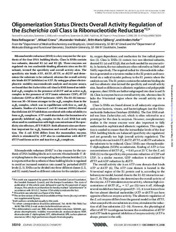(PDF) Oligomerization Status Directs Overall Activity Regulation of the Escherichia coli Class ...