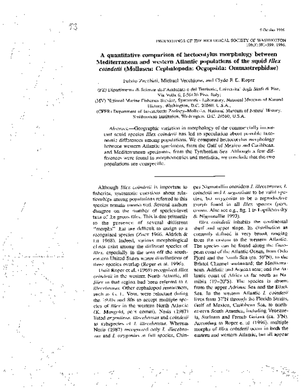 (PDF) A quantitative comparison of hectocotylus morphology between ...