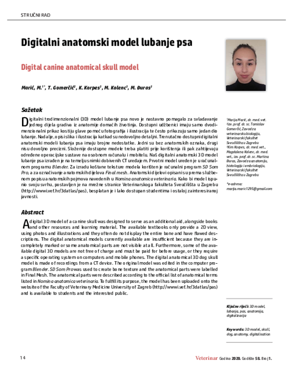 (PDF) Digital anatomical canine anatomical skull model