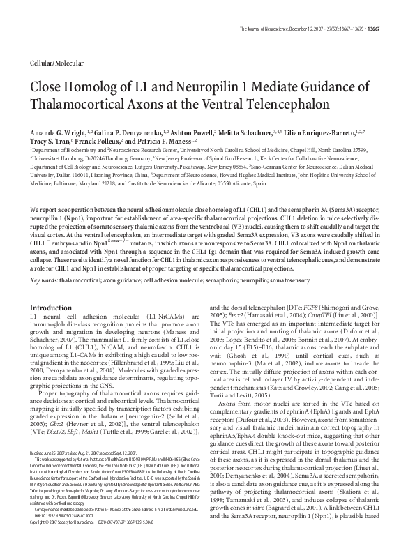 (PDF) Close Homolog of L1 and Neuropilin 1 Mediate Guidance of Thalamocortical Axons at the ...