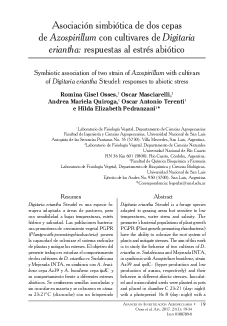 (PDF) Asociacion Simbiotica De Dos Cepas De Azospirillum Con Cultivares ...