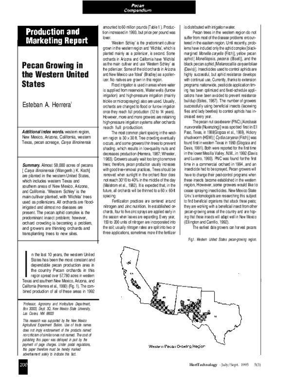 (PDF) Pecan Growing in the Western United States