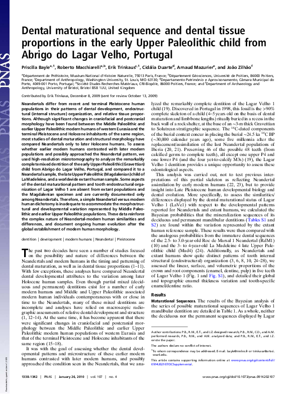 (PDF) Dental maturational sequence and dental tissue proportions in the ...