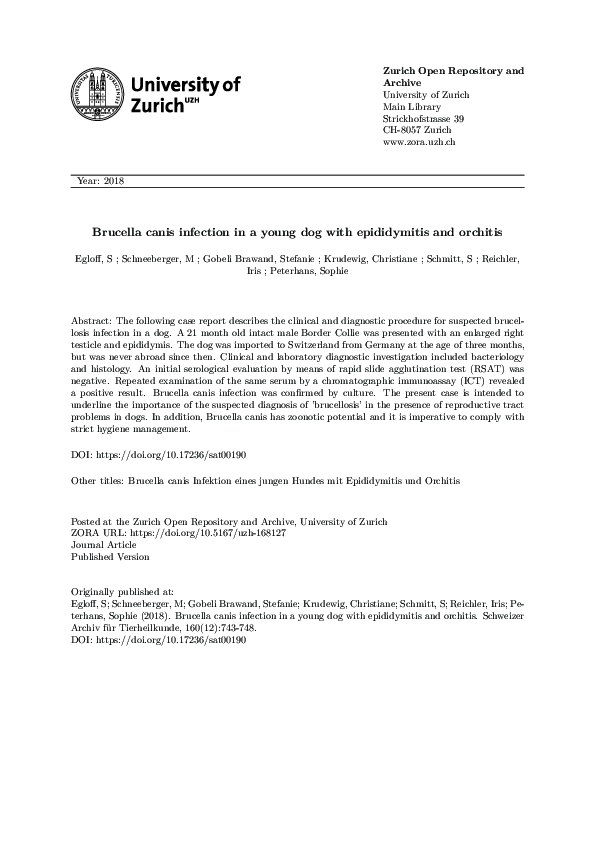 (PDF) Brucella canis infection in a young dog with epididymitis and ...