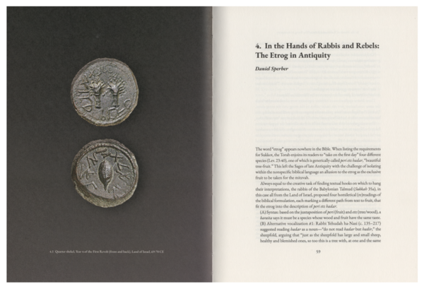 (PDF) Daniel Sperber, “In the Hands of Rabbis and Rebels: The Etrog in ...