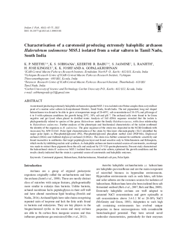 (PDF) Characterisation of a carotenoid producing extremely halophilic archaeon Halorubrum ...