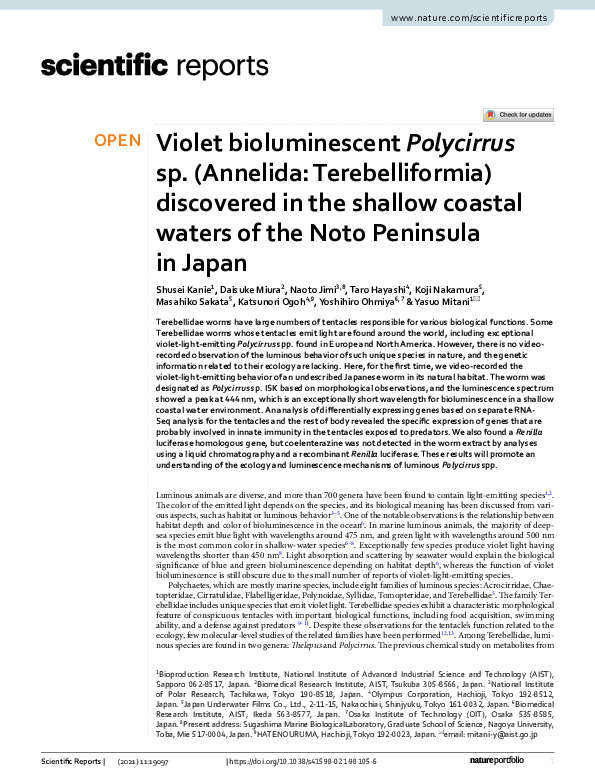 (PDF) Violet bioluminescent Polycirrus sp. (Annelida: Terebelliformia ...