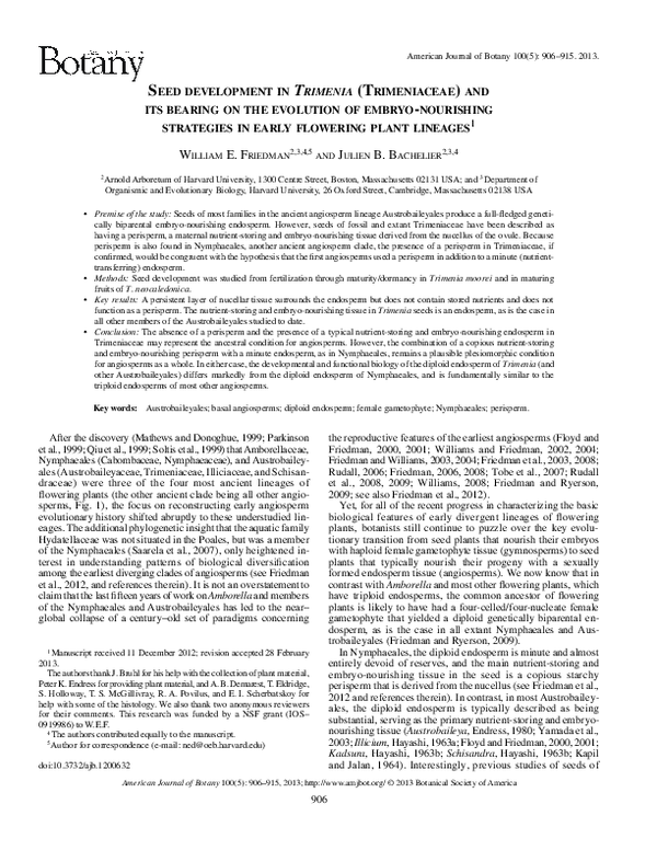 (PDF) Seed development in Trimenia (Trimeniaceae) and its bearing on ...