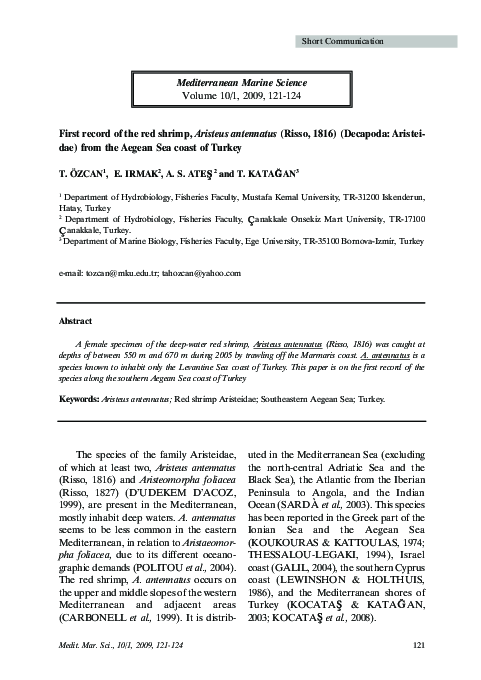 (PDF) First record of the red shrimp, Aristeus antennatus (Risso, 1816 ...