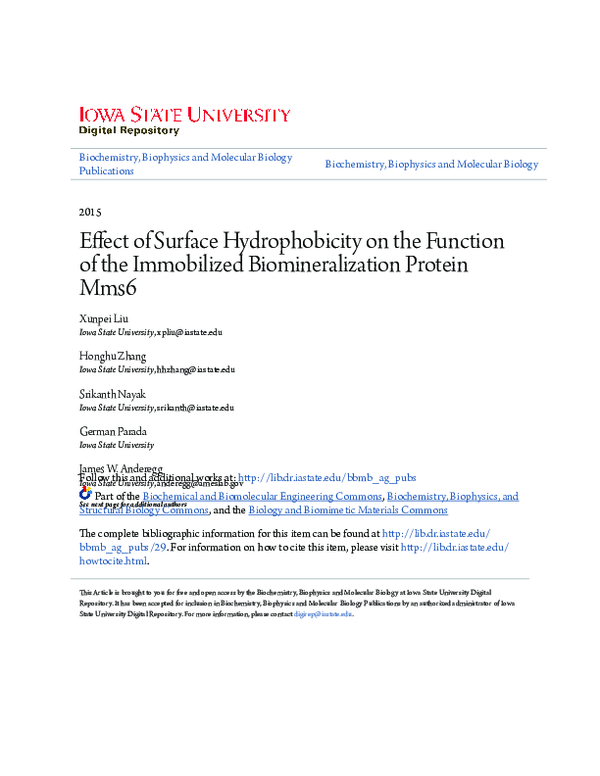 (PDF) Effect of Surface Hydrophobicity on the Function of the ...