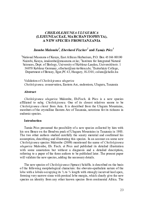 (PDF) Cheilolejeunea ulugurica (Lejeuneaceae, Marchantiophyta), a new ...