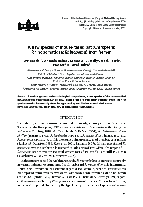(PDF) A new species of mouse-tailed bat (Chiroptera: Rhinopomatidae ...