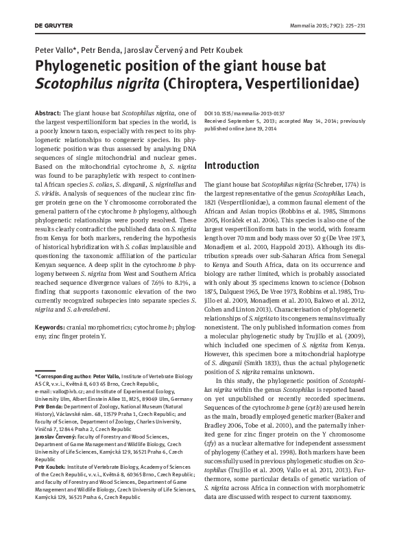 Phylogenetic position of the giant house bat Scotophilus nigrita ...