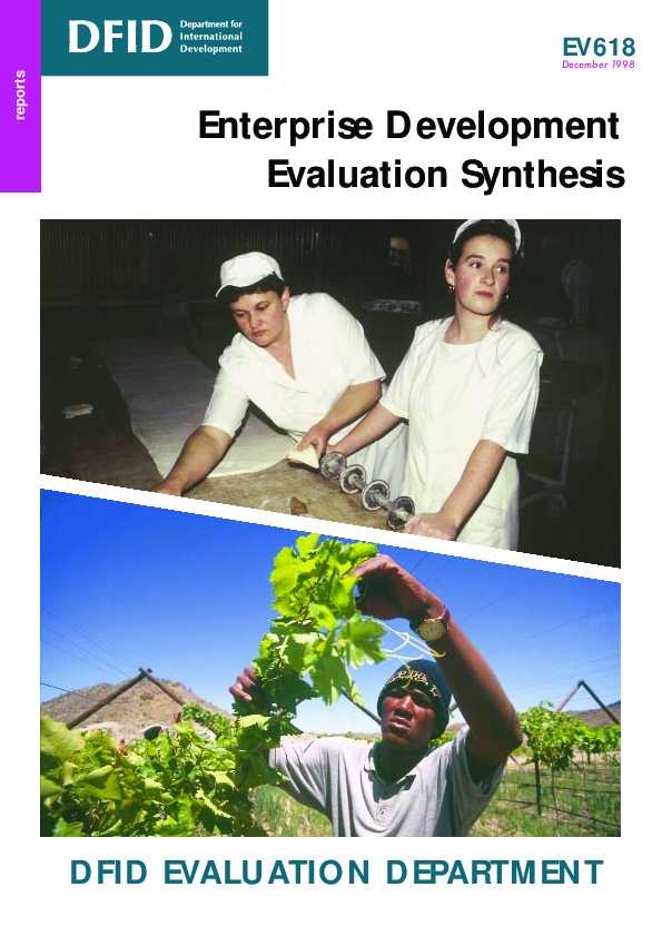 (PDF) Enterprise Development Evaluation Synthesis reports EV618 DFID ...