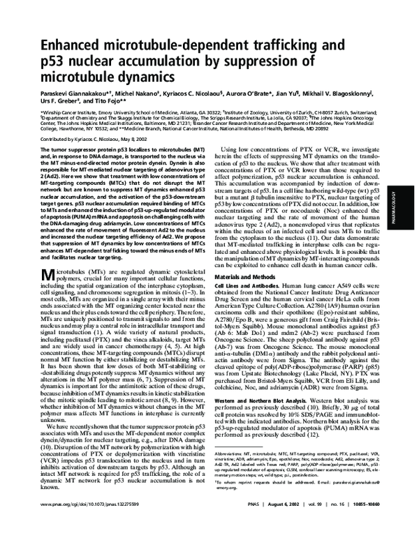 (PDF) Enhanced microtubule-dependent trafficking and p53 nuclear ...
