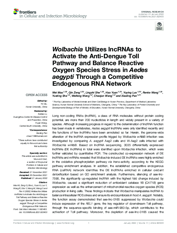 (PDF) Wolbachia Utilizes lncRNAs to Activate the Anti-Dengue Toll Pathway and Balance Reactive ...