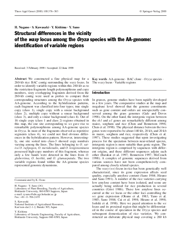 (PDF) Structural differences in the vicinity of the waxy locus among ...