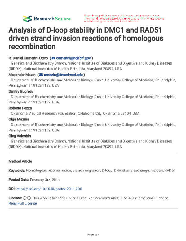 (PDF) Analysis of D-loop stability in DMC1 and RAD51 driven strand ...