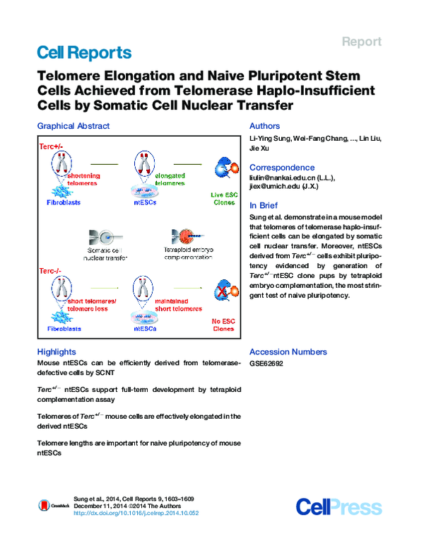 (PDF) Telomere elongation and naive pluripotent stem cells achieved ...