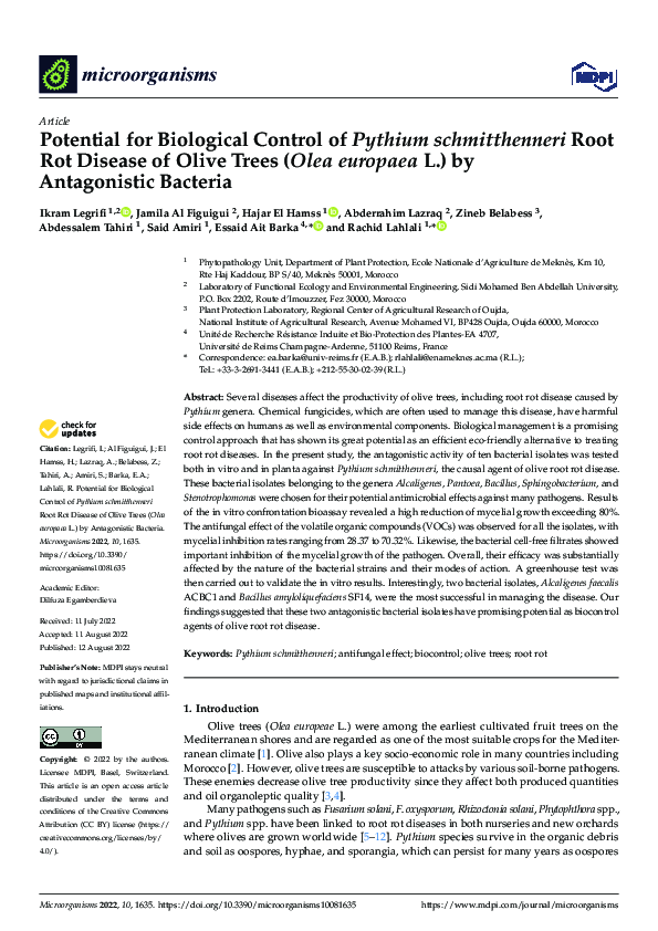 Pdf Potential For Biological Control Of Pythium Schmitthenneri Root Rot Disease Of Olive Trees