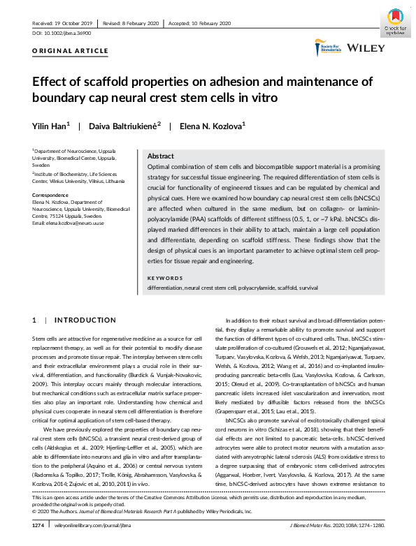 (PDF) Effect of scaffold properties on adhesion and maintenance of ...