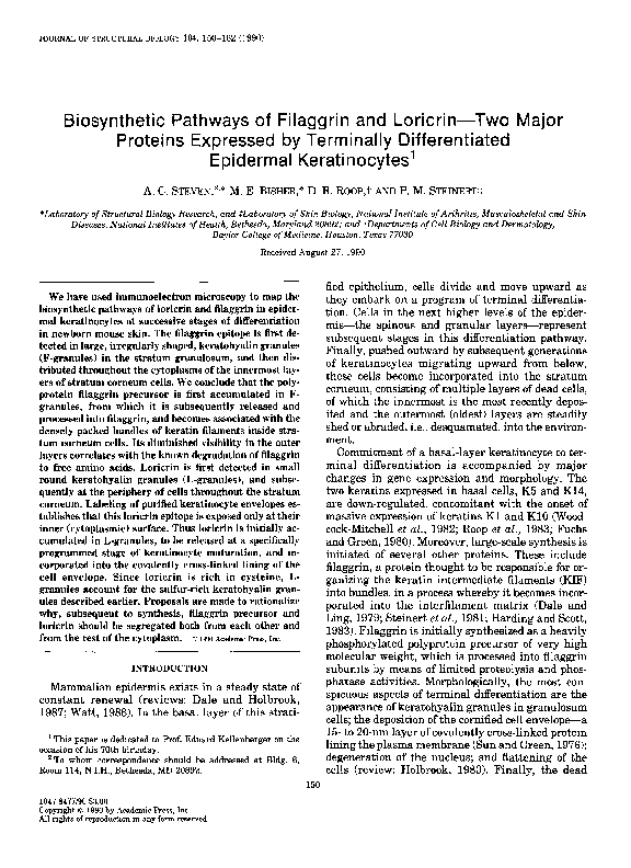(PDF) Biosynthetic pathways of filaggrin and loricrin—two major ...