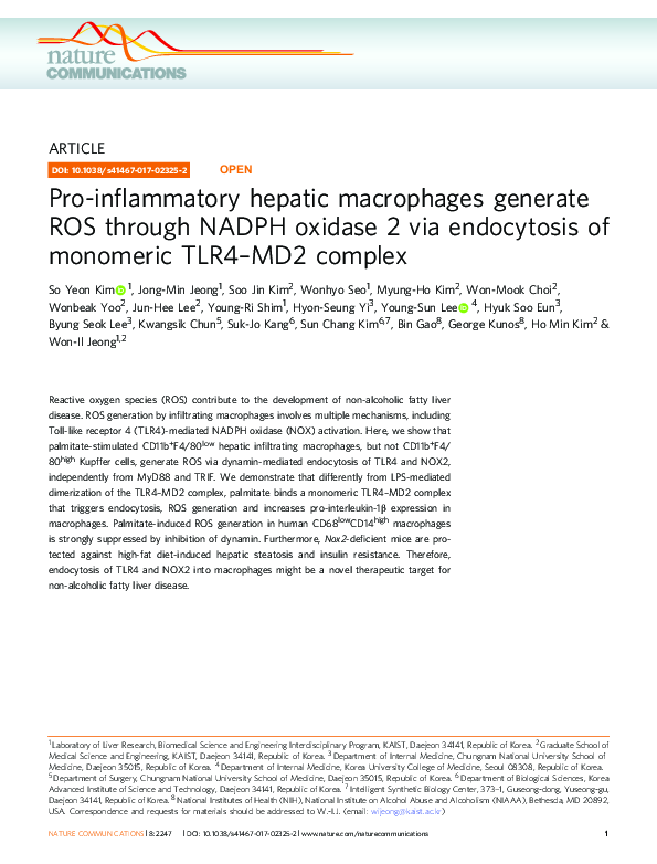 (PDF) Pro-inflammatory hepatic macrophages generate ROS through NADPH oxidase 2 via endocytosis ...
