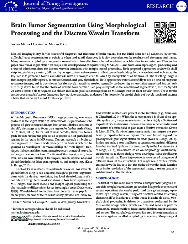 (PDF) Brain Tumor Segmentation Using Morphological Processing and the Discrete Wavelet Transform