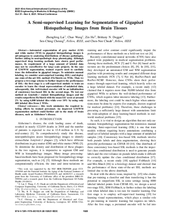 (PDF) A Semi-supervised Learning for Segmentation of Gigapixel ...