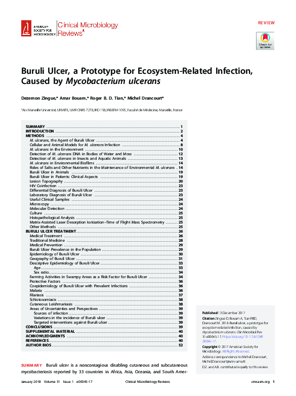 (PDF) Buruli Ulcer, a Prototype for Ecosystem-Related Infection, Caused by Mycobacterium ulcerans