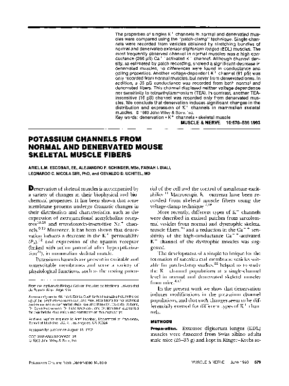 (PDF) Potassium channels from normal and denervated mouse skeletal ...