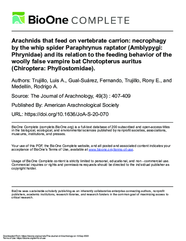 (PDF) Arachnids that feed on vertebrate carrion: necrophagy by the whip ...