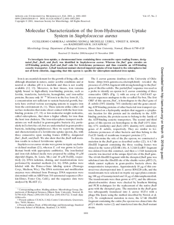 (PDF) Molecular Characterization of the Iron-Hydroxamate Uptake System in Staphylococcus aureus